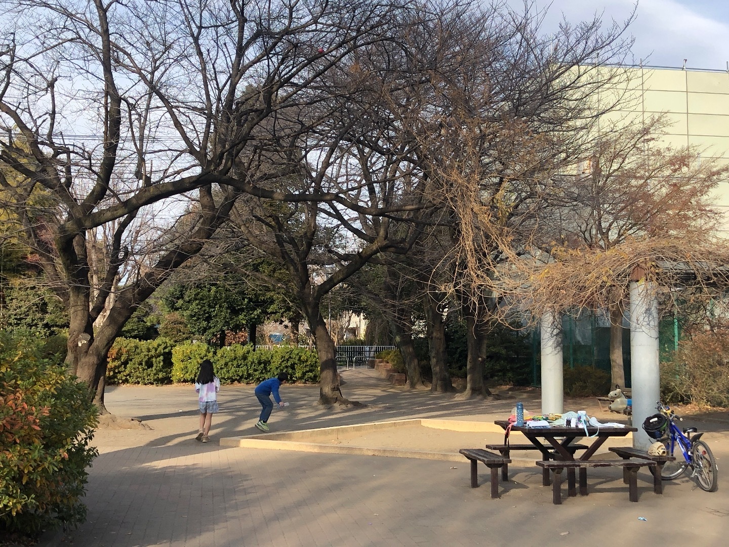 12月27日(金): Ochazuke Bar 山﨑